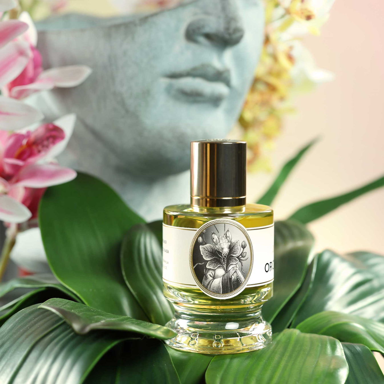 ORCHID MANTIS - ZOOLÓGICO – Fragrance Passion